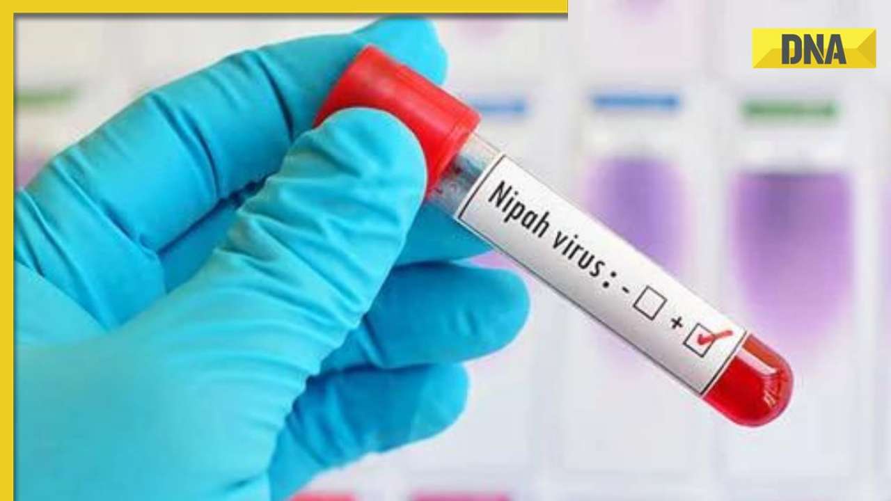 Nipah outbreak in Kerala: How this deadly virus got its name?