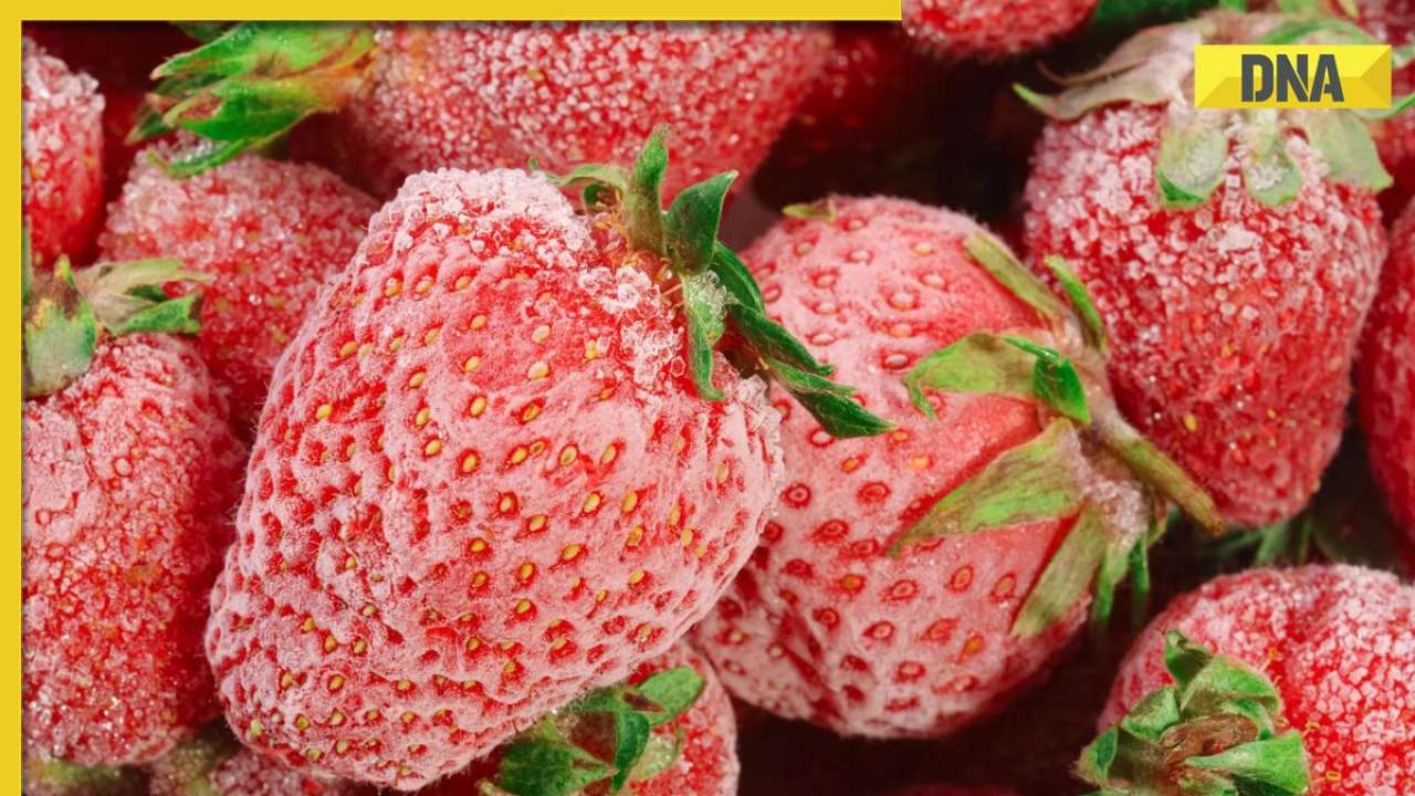 What is ‘frozen fruit hack’, newest TikTok trend on the block?