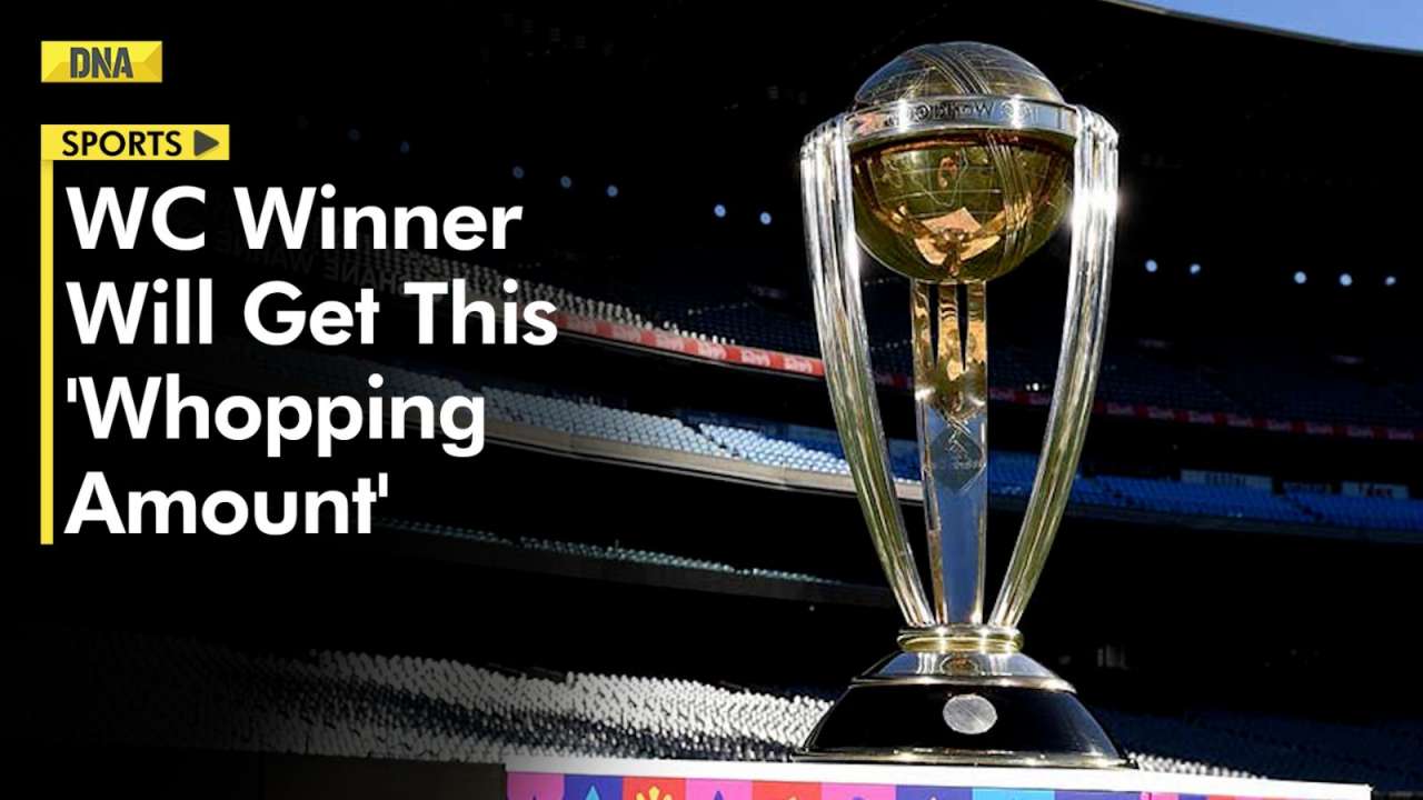 World Cup 2023: Know how much money the 'Winners' of 2023 Men's ODI ...