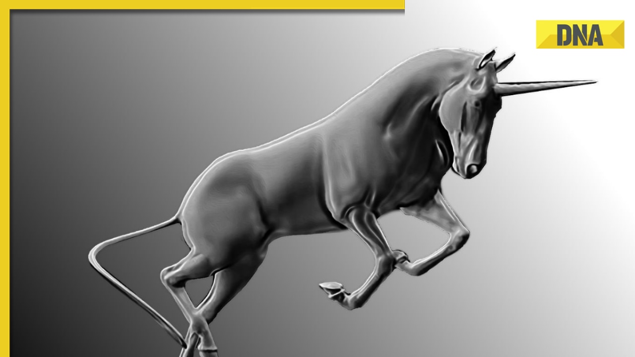 Apart from unicorn, what are the different ‘corns’ of the startup world?