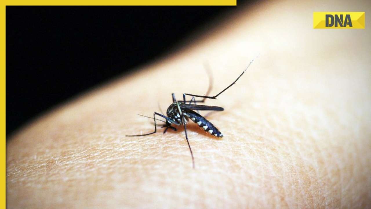 Bangladesh witnesses over 1000 deaths in worst dengue outbreak on record