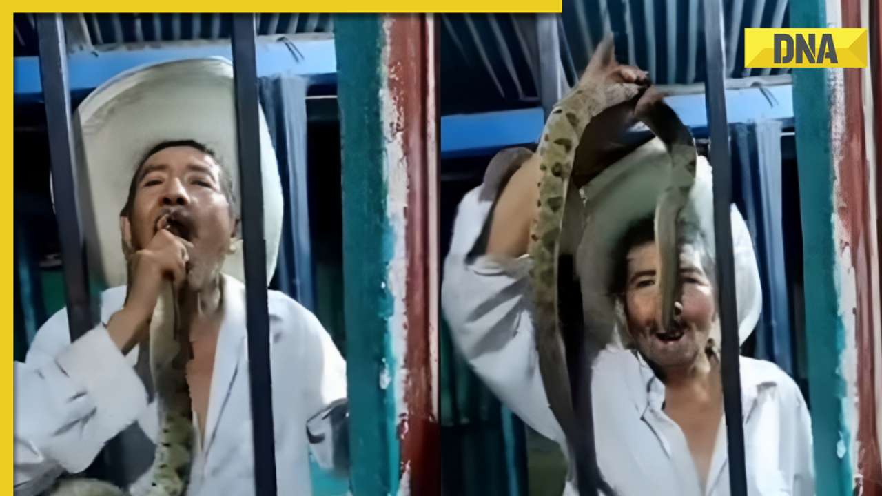 Viral video: Man inserts venomous snake's head into his mouth, internet gets shivers