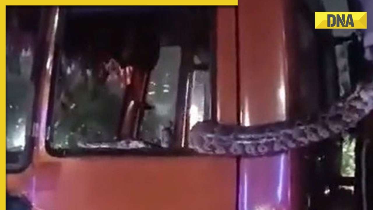 Noida: UP Police rescues eight-foot python from truck, watch