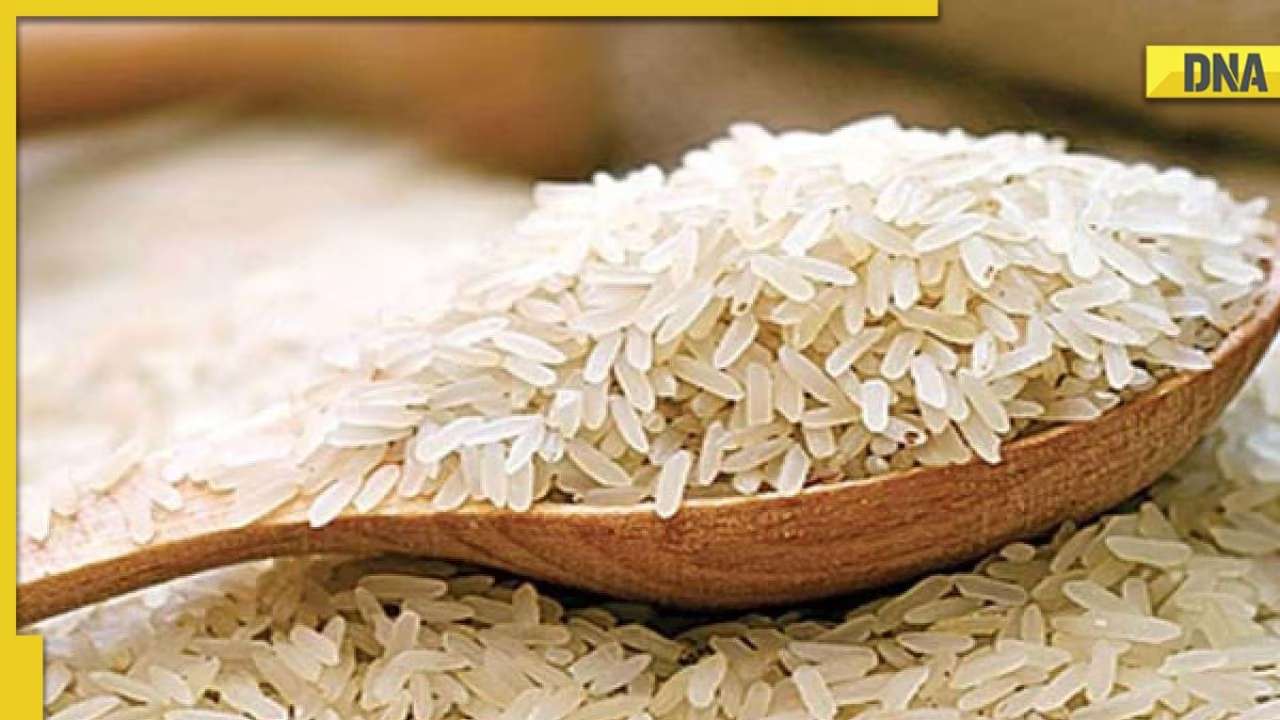 Export duty on parboiled non-basmati white rice: Govt gives big update ...