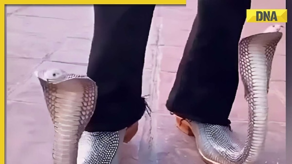 Fashion takes a striking leap: Cobra hood-inspired shoes leave internet ...