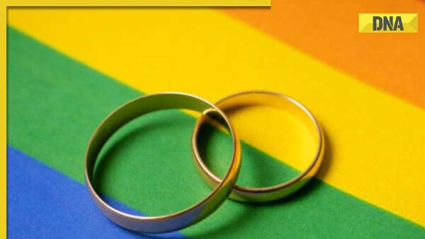 Dna Explainer Indias Legal Stand On Same Sex Marriages And The