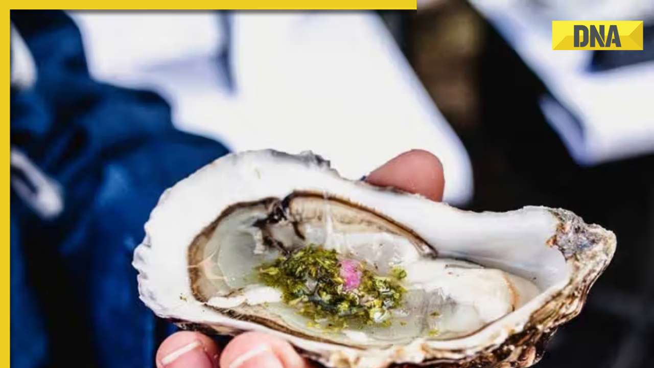 US woman's date night takes an unexpected twist after downing 48 oysters