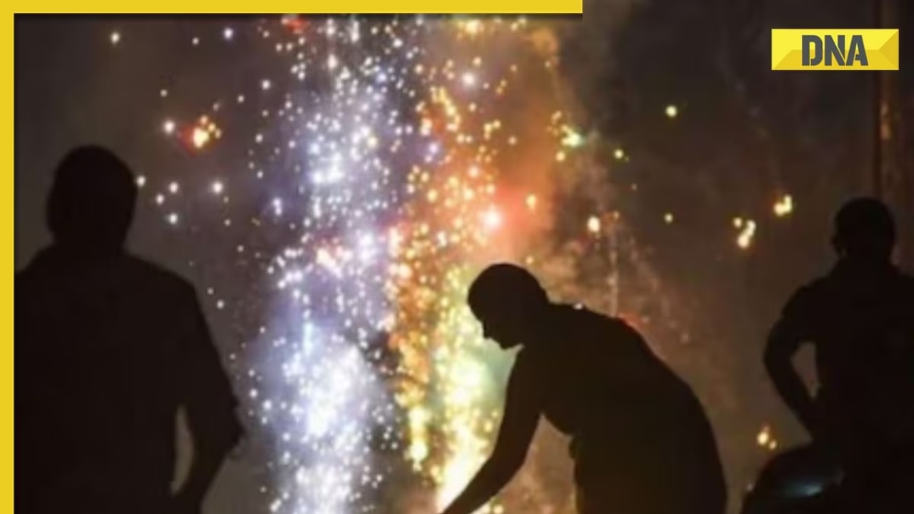 Ahead of Diwali, Delhi proposes firecracker ban in entire NCR after ...