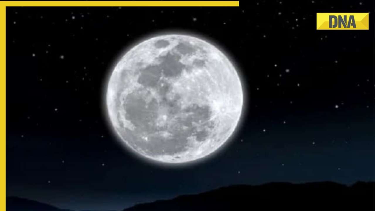 Sharad Purnima 2023: Do's and don'ts to follow on Ashwin Purnima