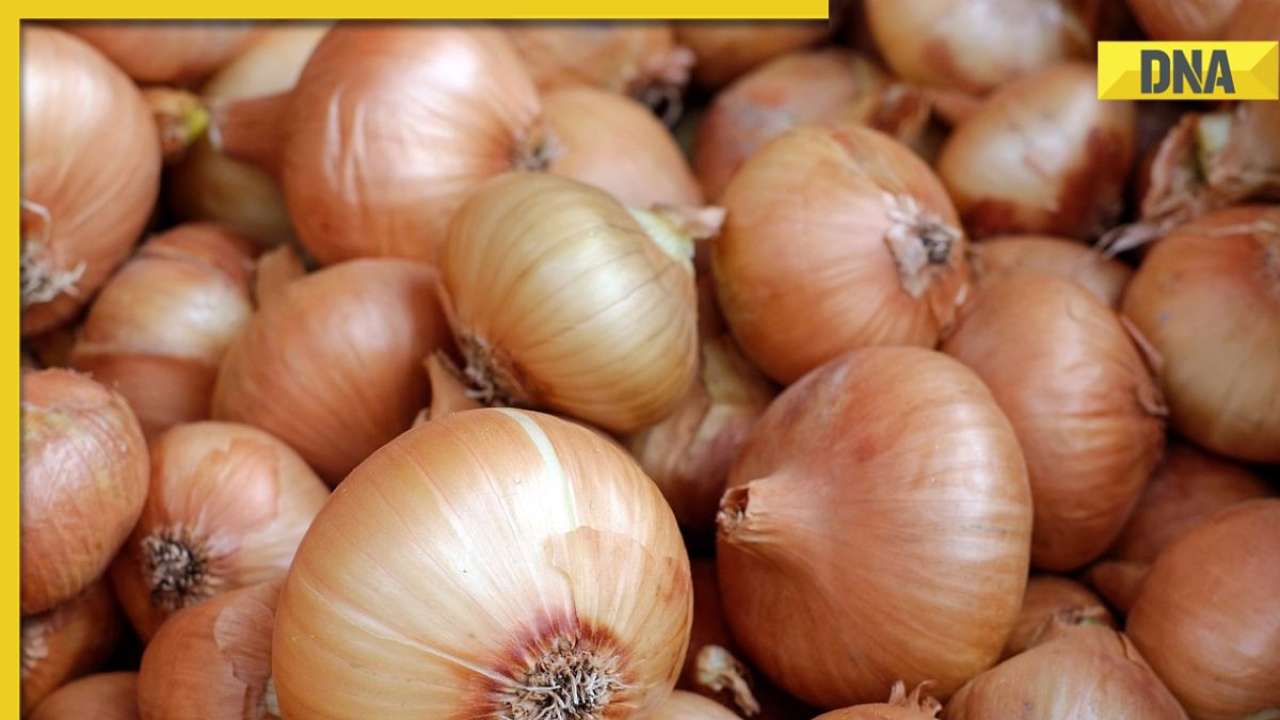 Explained: Real reason behind onion price hike ahead of Diwali