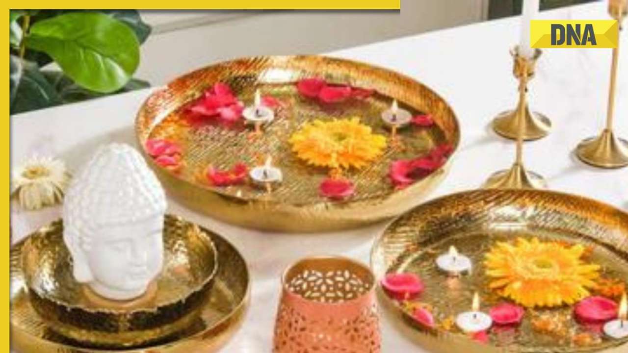 Dhanteras 2023: Five auspicious things you can buy on this day on ...