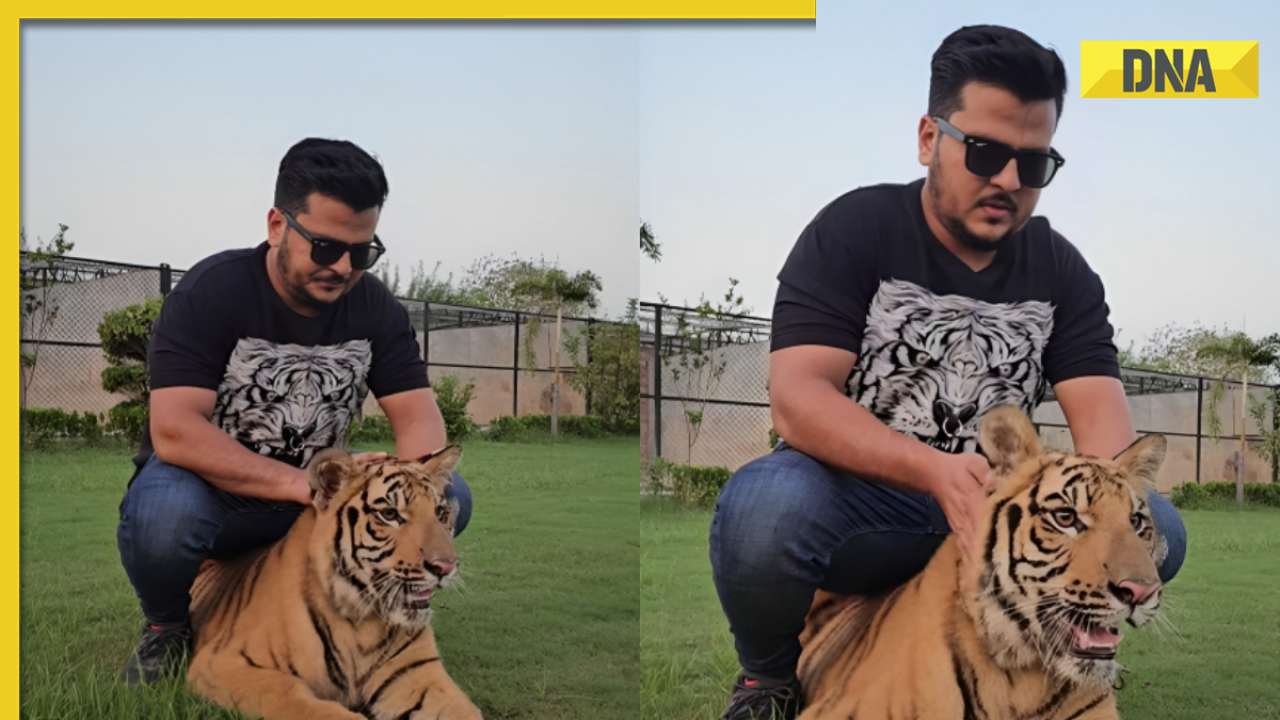 Outrage erupts as Pakistani YouTuber sits on giant tiger for Instagram ...