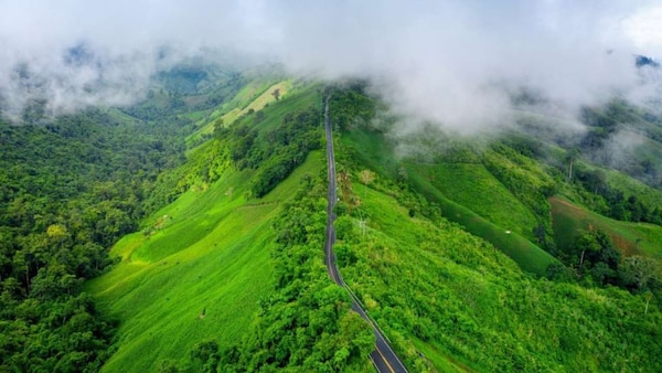 Western Ghats: A Journey into India's Biodiversity Hotspot