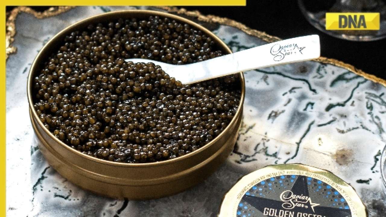 6 most expensive foods in the world that even the rich think twice ...