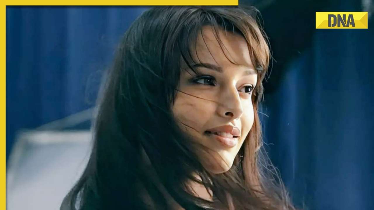 After Animal's success, Triptii Dimri wants to work with this South ...