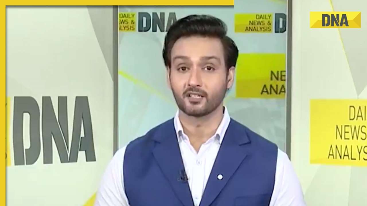 DNA TV Show: What is 'donkey route', and why do people use this illegal ...