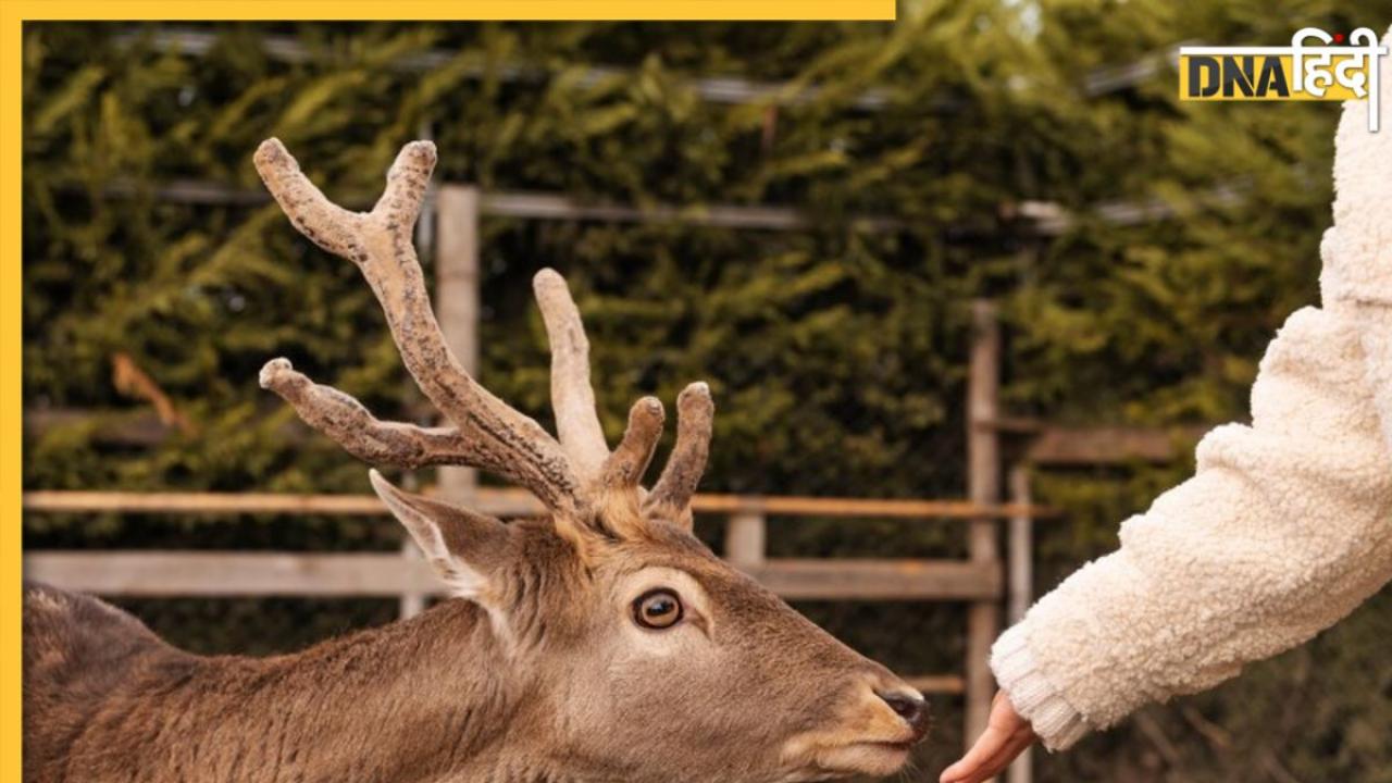 Dizziness Cause: सुबह-सुबह चक्कर आना इन बीमारियों का है संकेत, लापरवाही ...