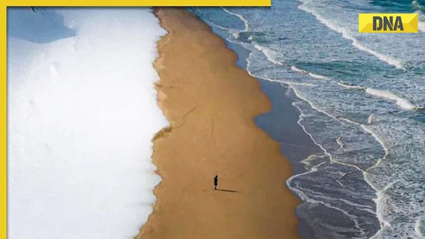 Magnificent photo of Japanese beach where snow, sand and sea meet ...