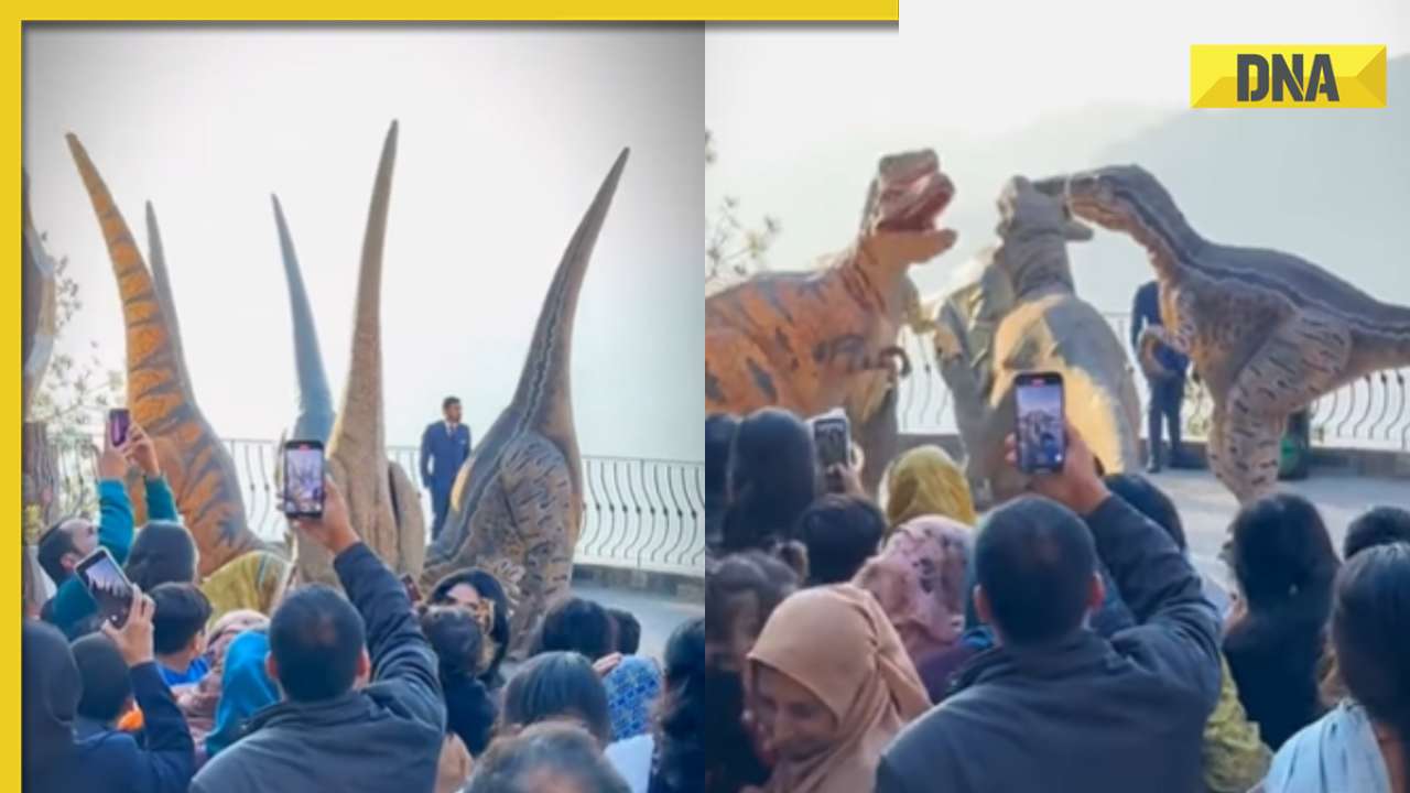 'Jurassic Park after...': 'Dinosaurs' shake a leg to Punjabi song in ...