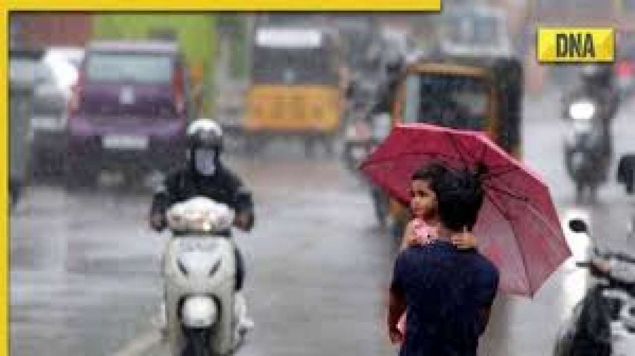 Weather Update: IMD predicts light rain with gusty winds in Delhi; Check forecast for next 3 days