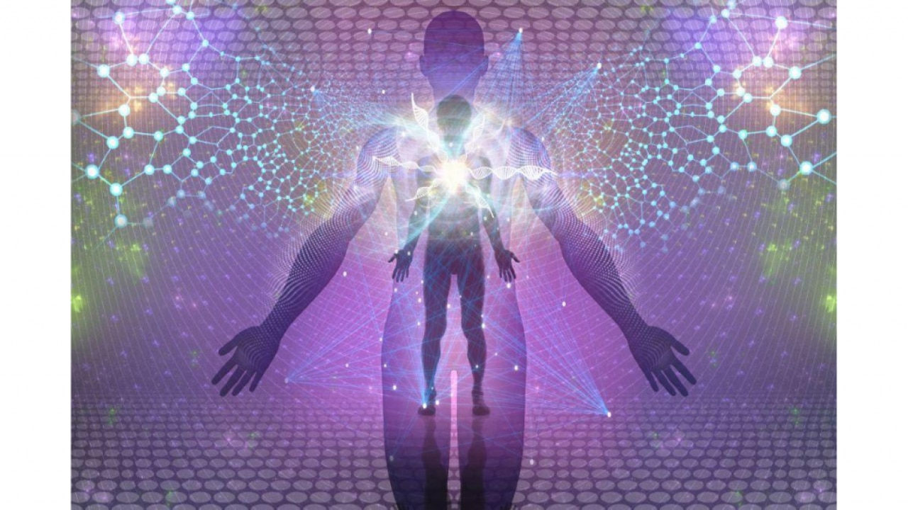 How to find your spirit animal?