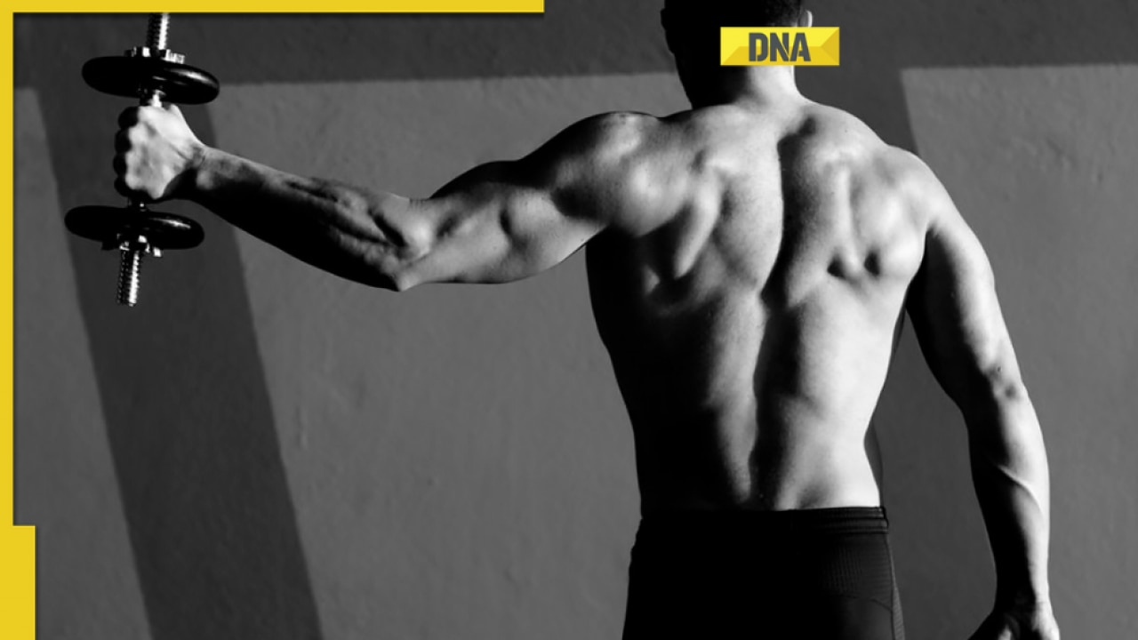 Beginner SARM Cycle Guide: Best SARMs Stack For Beginners (Bulking, Cutting, Strength)