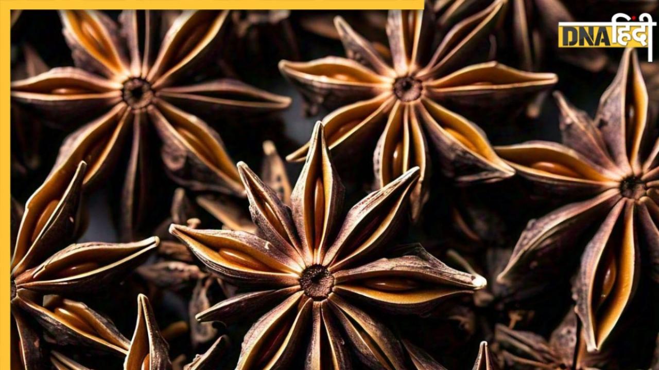 Chakra Phool Benefits: खांसी, निमोनिया समेत इन बीमारियों से छुटकारा ...