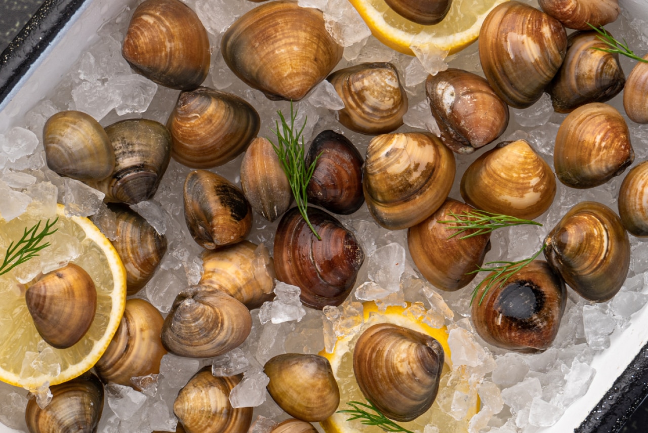 Need vitamin B12? Add these 7 nutrient-packed foods to your diet