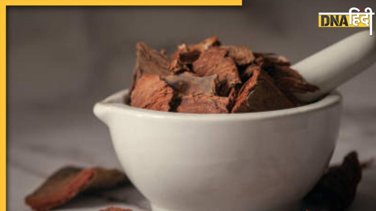 Arjun Ki Chaal Benefits Latest News and Updates in Hindi – Arjun Ki ...