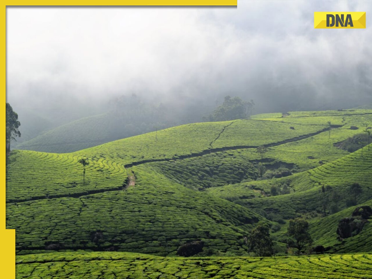 From Munnar to Coorg: 6 Breathtaking hill stations to explore this ...