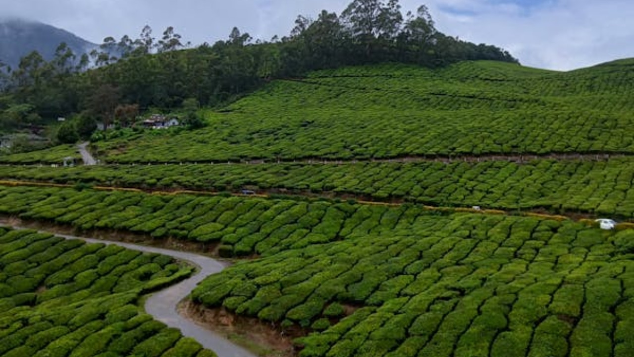 From Munnar to Coorg: 6 Breathtaking hill stations to explore this ...
