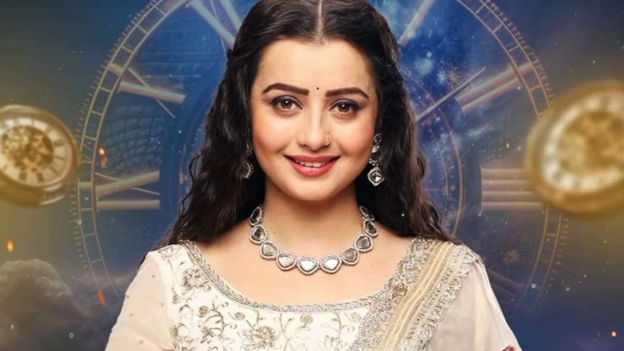 Bigg Boss 18: Rajat Dalal, Vivian Dsena, Karan Veer Mehra, Shilpa ...