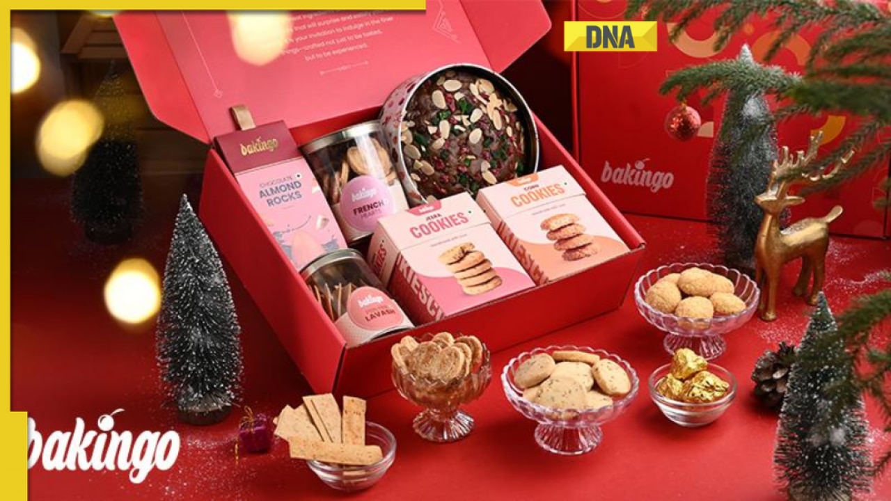 Bakingo Unveils ‘Magic in Every Bite’ With Its Exclusive Christmas ...
