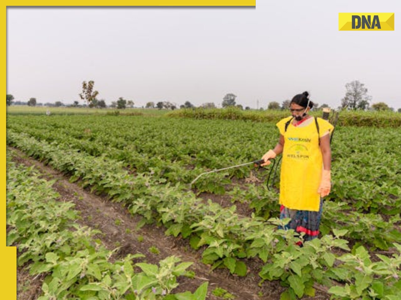 National Farmer's Day 2024: Know history, significance, all you need to ...
