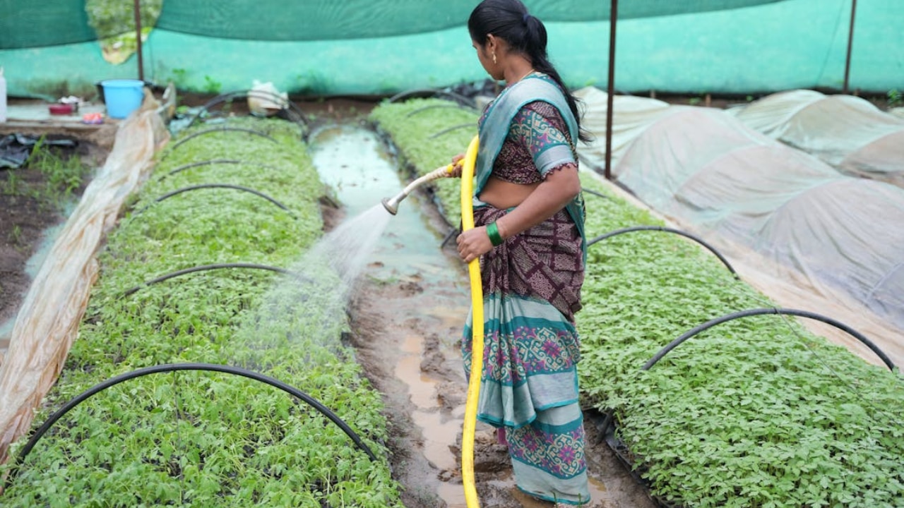 National Farmer's Day 2024: Know history, significance, all you need to ...
