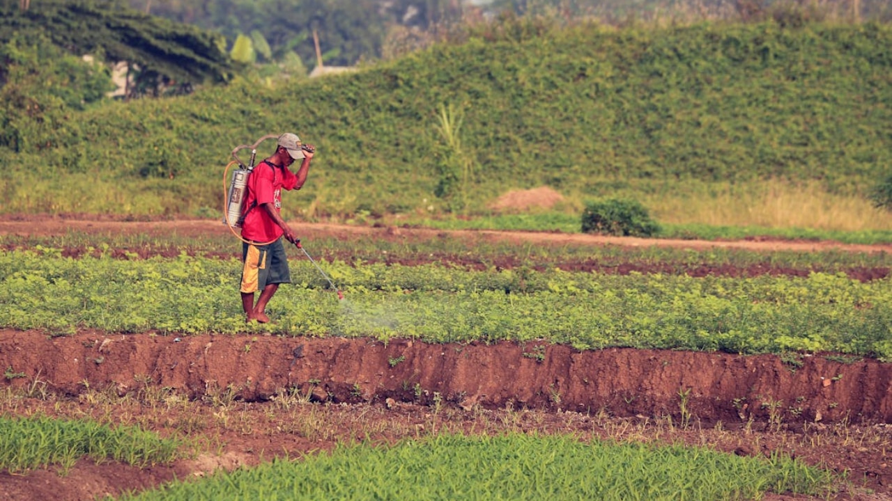 National Farmer's Day 2024: Know history, significance, all you need to ...