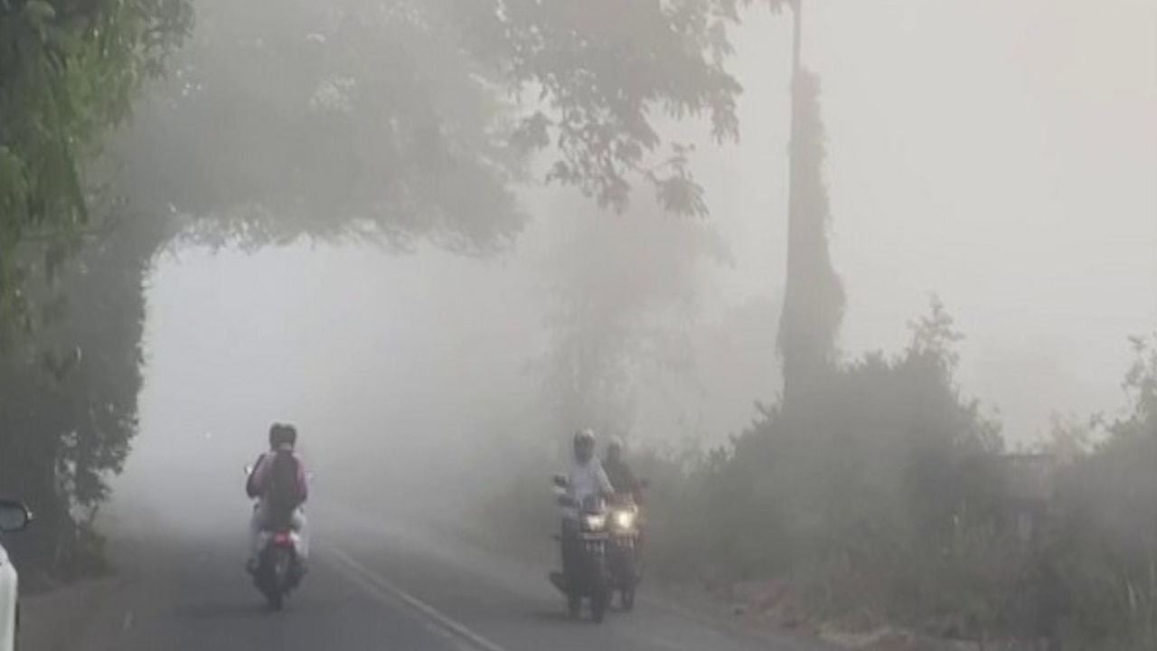 IN PICS: North India enters 2025 with snow, cold waves