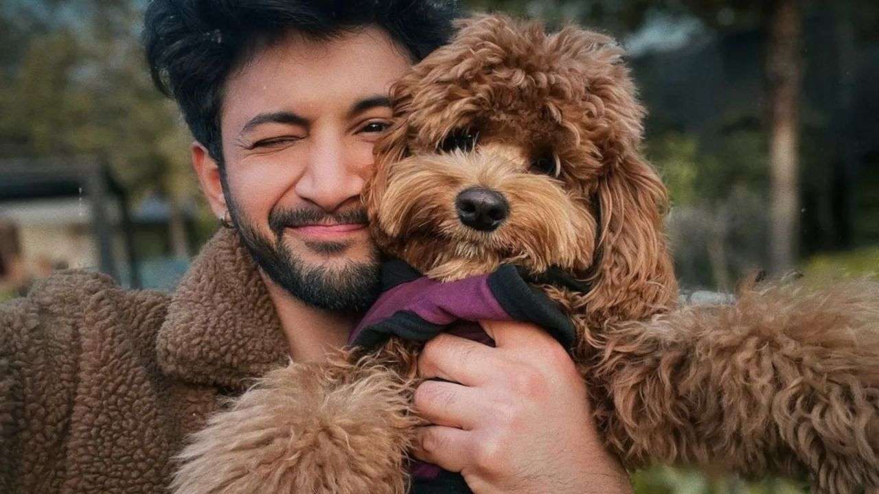 From TV debut to Netflix heartthrob, glimpse at Mismatched actor Rohit ...