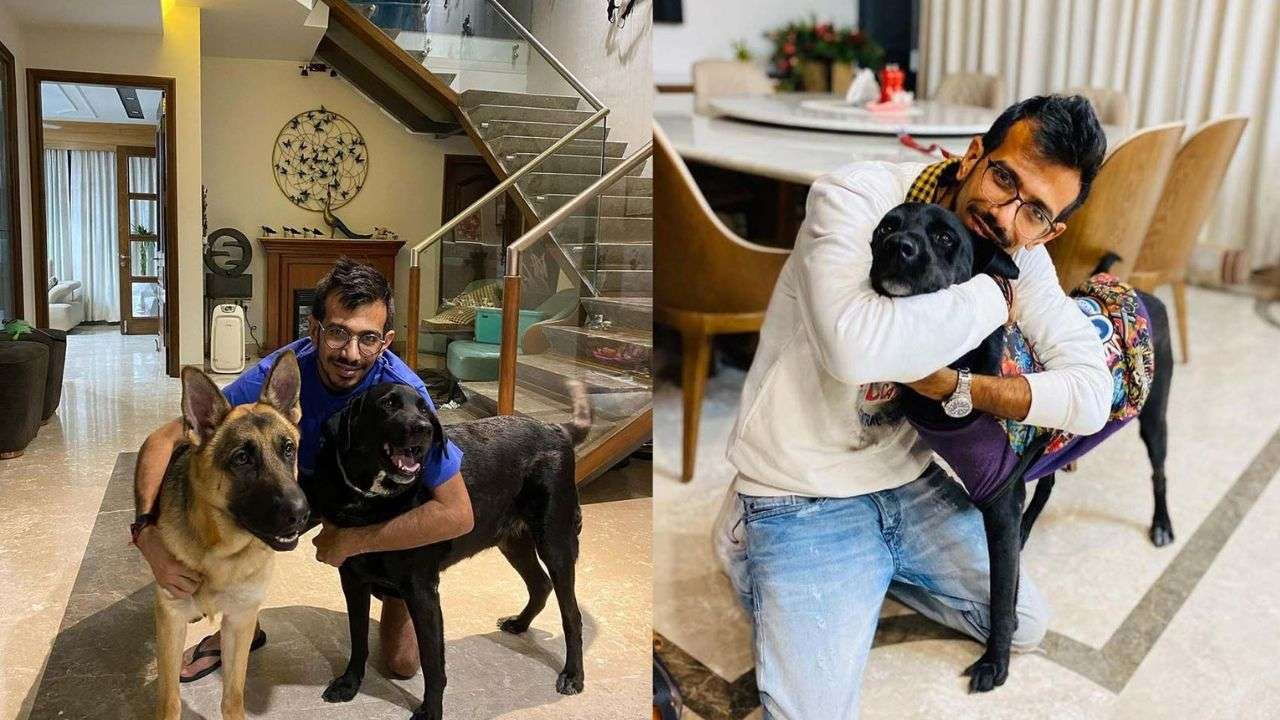 Inside Yuzvendra Chahal's luxurious Gurugram bungalow worth Rs 25000000 with premium interiors ...