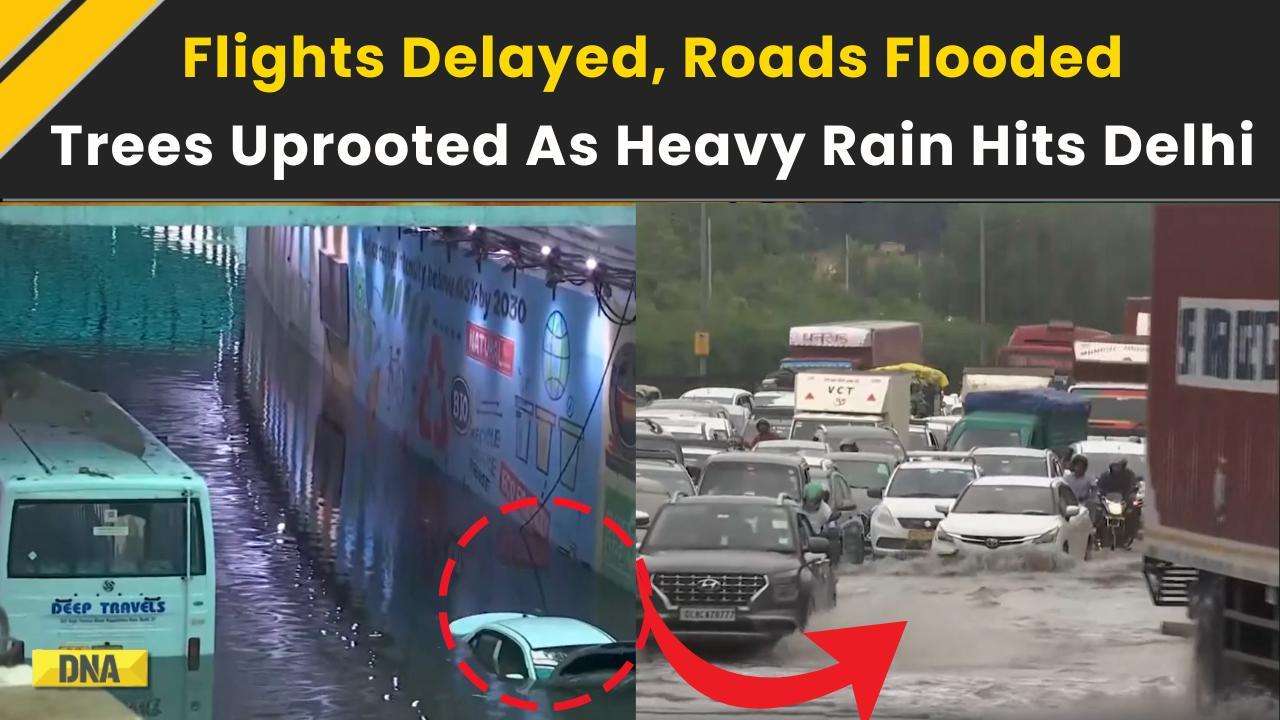Delhi Rains: Heavy Rain Wreaks Havoc In Delhi; Waterlogging, Uprooted Trees, Traffic Chaos