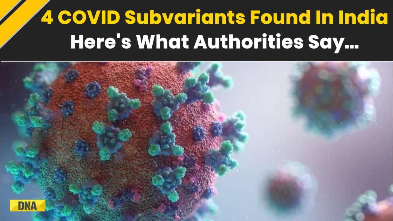 Covid 19 News: 4 Omicron Subvariants Found In India, Here's What Authorities Say... | Covid In India