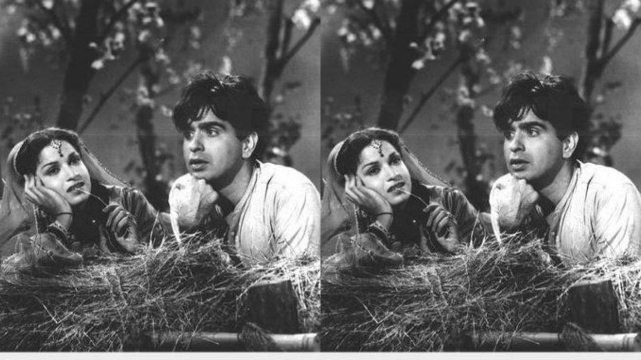 बॉलीवुड की इस एक्ट्रेस ने अपने ही जीजा संग रचाई शादी, सायरा बानो से ...