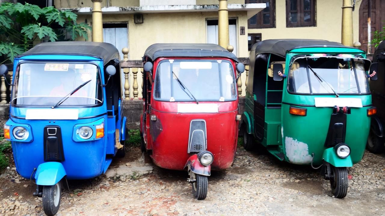 दिन के 30 हजार कमाता है ये ऑटो वाला, बिजनेस मॉडल ऐसा कि आप कहेंगे- ये ...