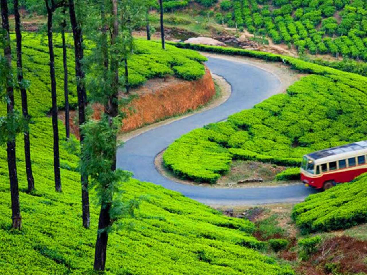 From Munnar to Cherrapunji: 6 must-visit destinations in India that ...