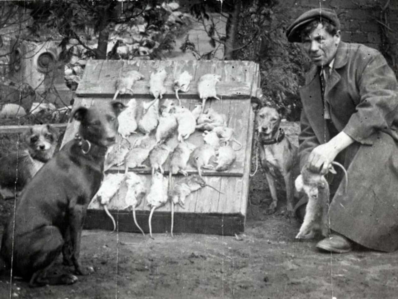 From human printers to rat catchers: 7 ancient jobs that once ruled the ...