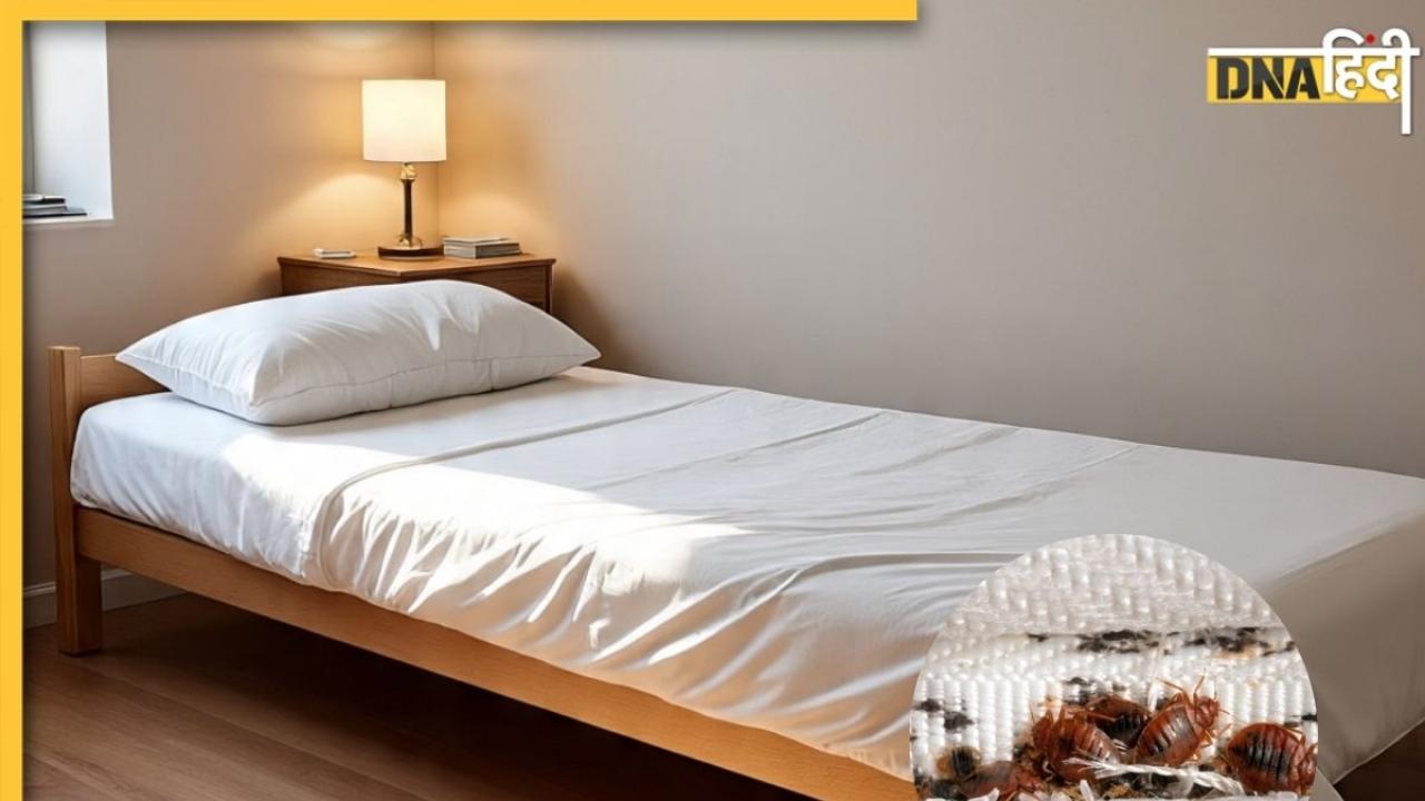 Khatmal Bhagane ke Upay: बिस्तर पर लेटते ही काटने लगते हैं खटमल, सोना ...