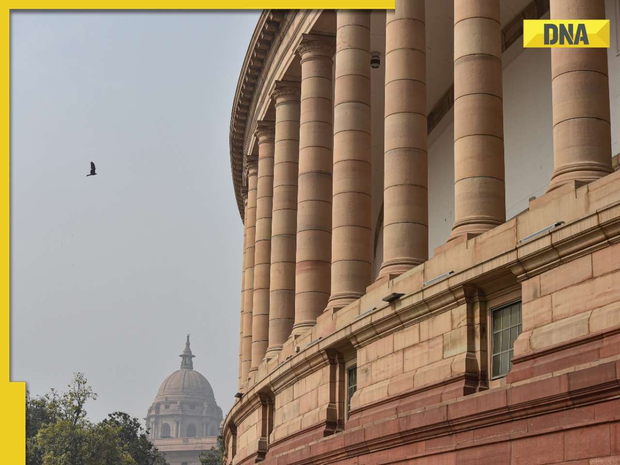 Parliament security breach: Man jumps over wall, held by security