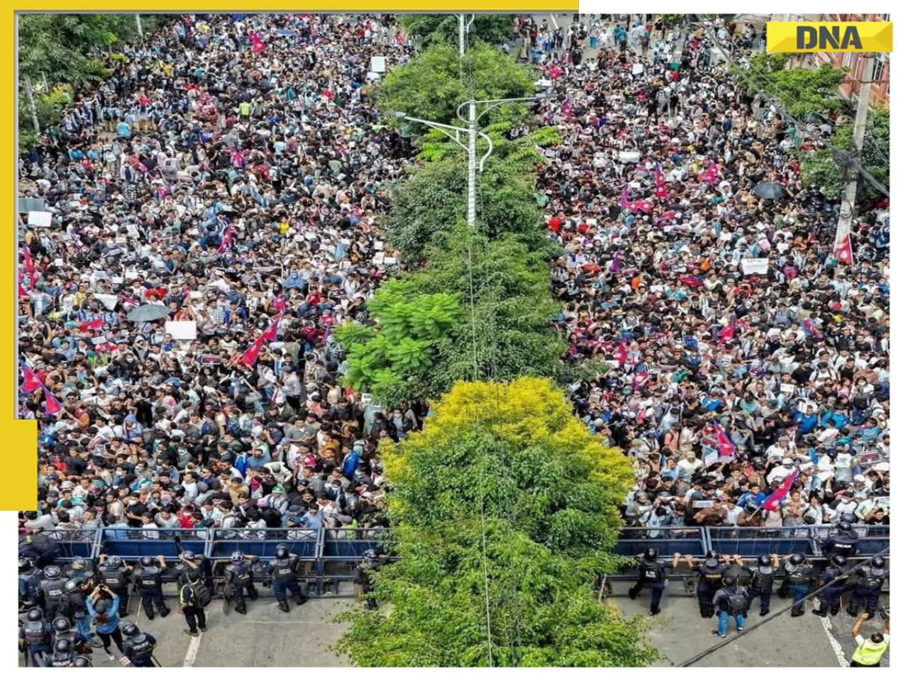 'Nepo Kid' Movement: Nepalis must roar across plains and mountains, as ...