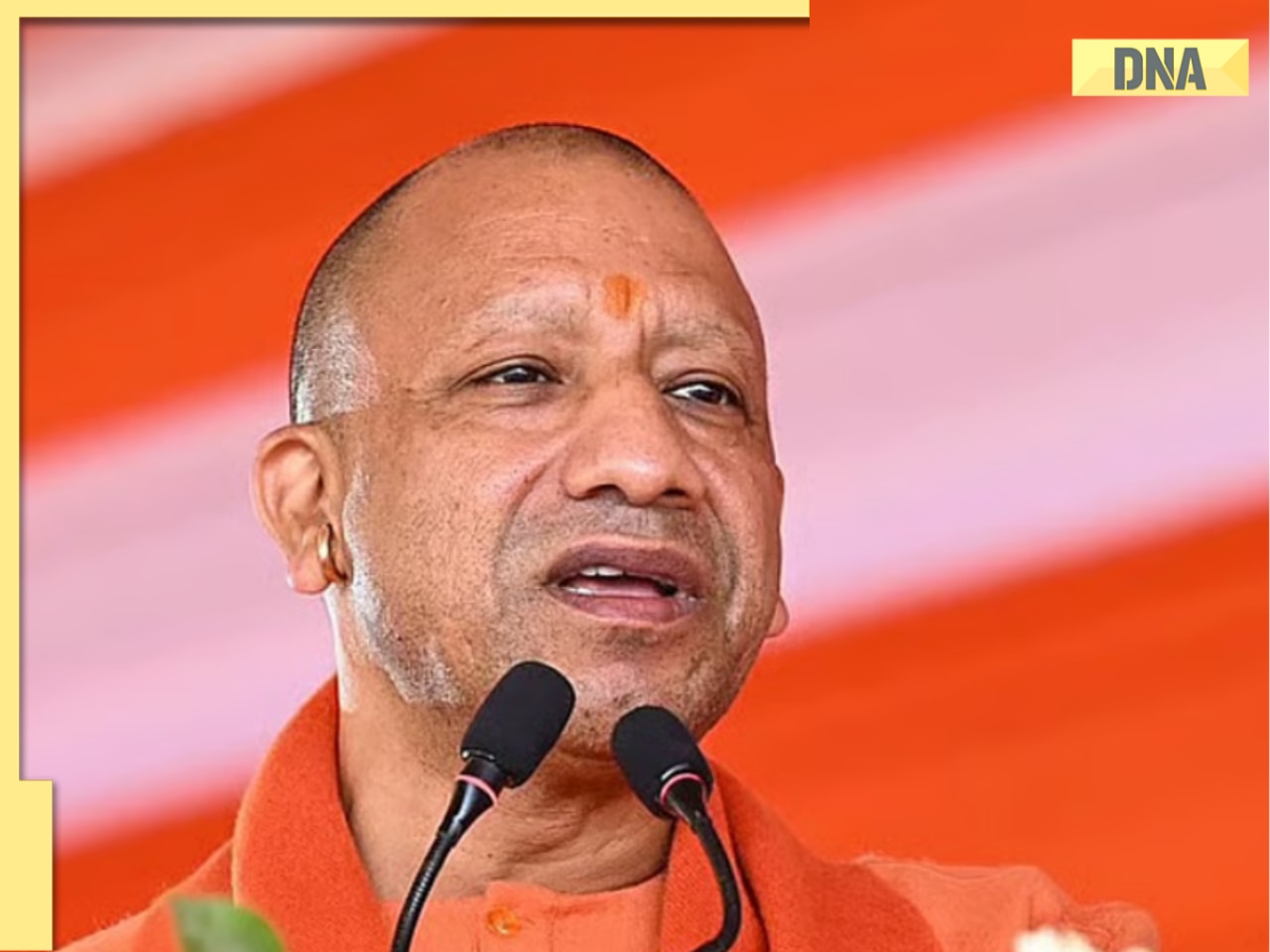 Isha Modi News: Read Latest News and Live Updates on Isha Modi, Photos ...