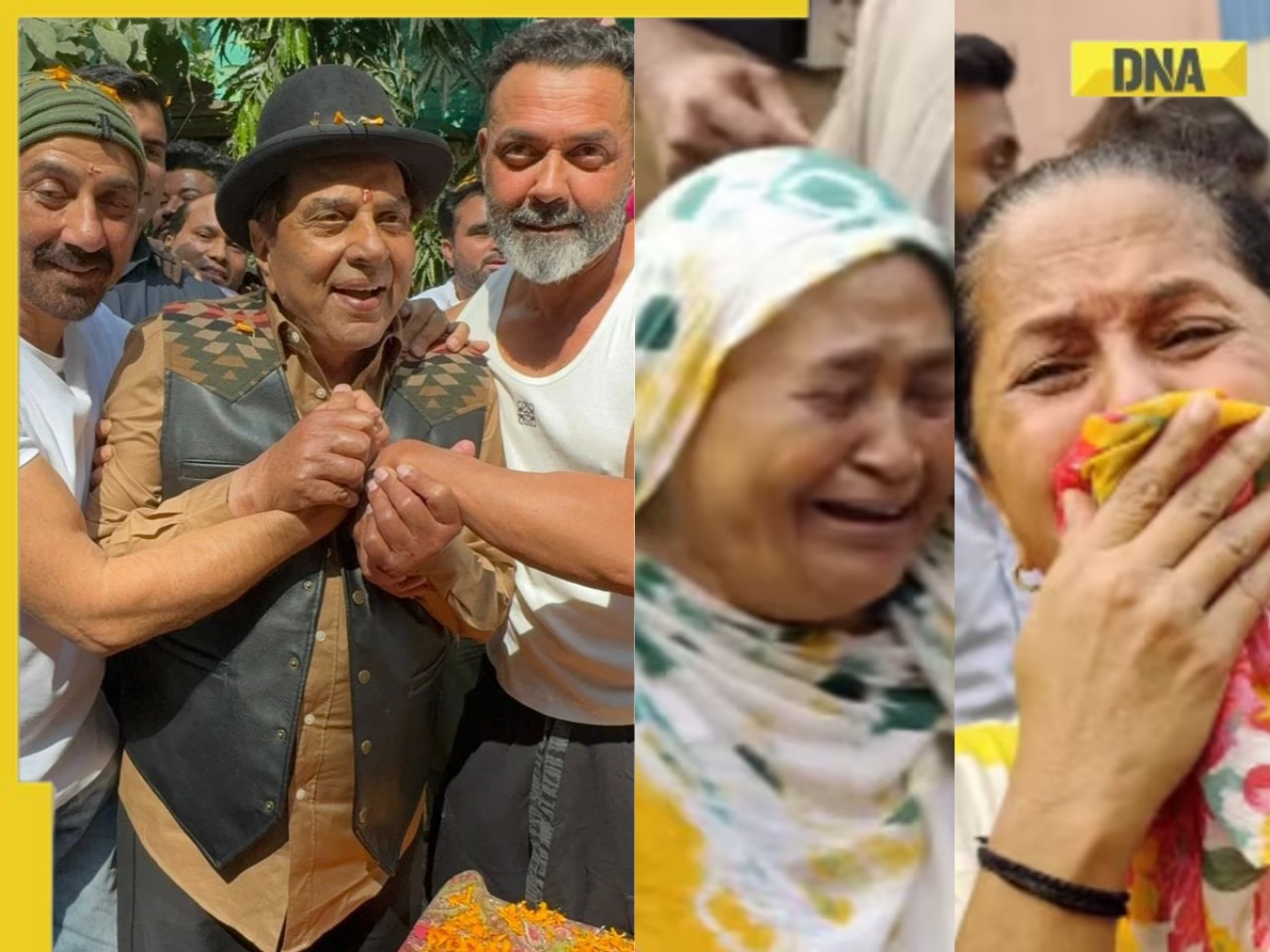 'Mat dekho Sunny Deol, Bobby Deol ki filmein': Dharmendra's fans are ...